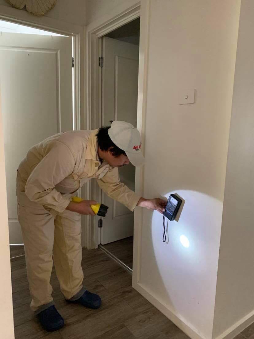 Mr Master Pest Control – Protecting Your Home and Business from Pest