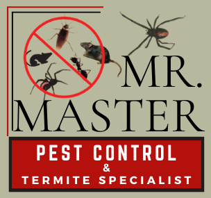 Mr Master Pest Control – Protecting Your Home and Business from Pest